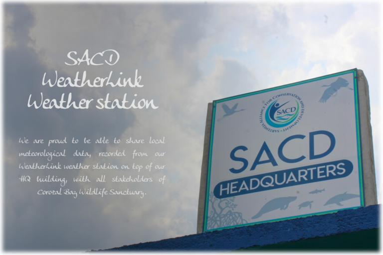 Sarteneja Alliance for Conservation and Development (SACD) – Bringing ...