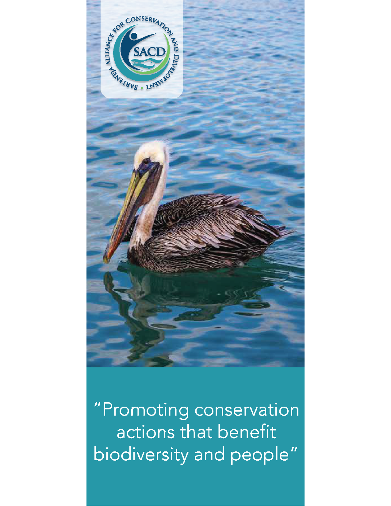 Informative Material